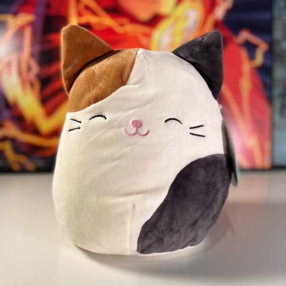 Squishmallows | Toys | 8 Cameron Cam The Cat Squishmallow Kellytoy ...